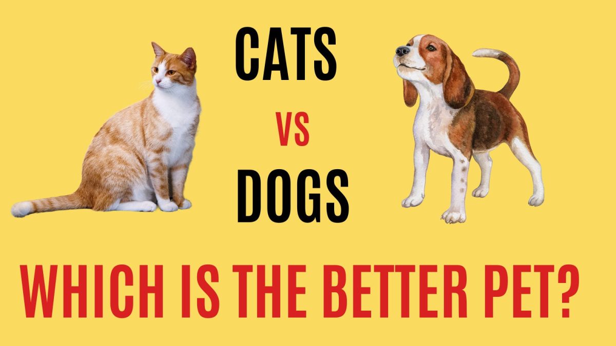 Why Are Dogs Better Than Cats: A Complete Comparison